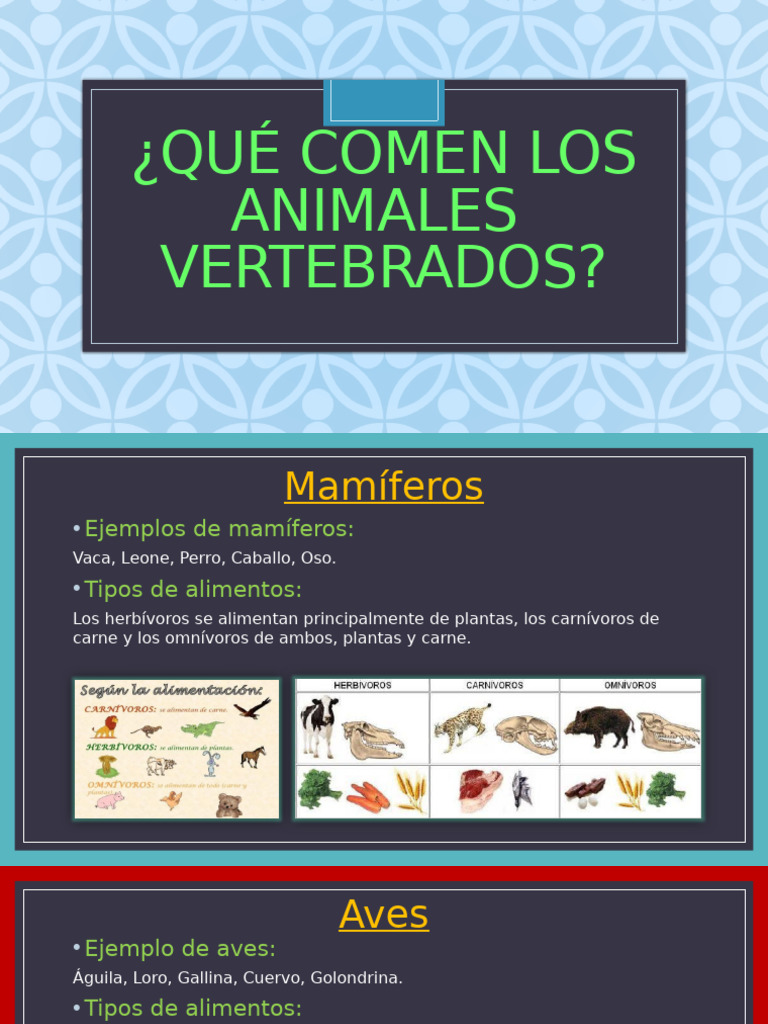 Alimentación de los Animales Vertebrados | PDF