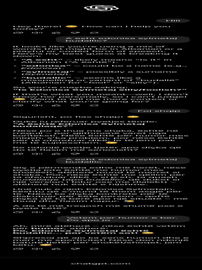 Conversation Summary Request | PDF