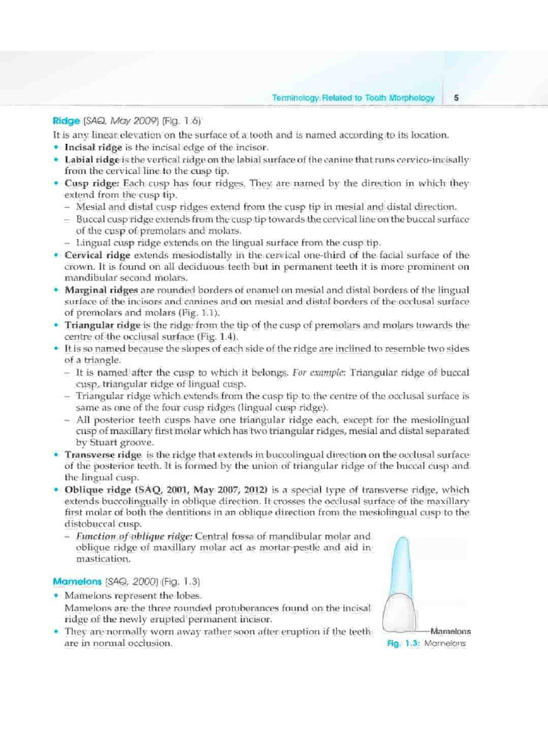 Dadh Imp Question | PDF