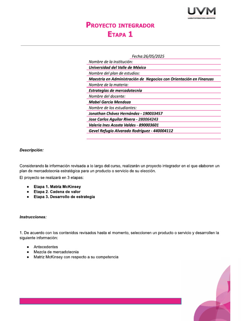 A2 - 1era Etapa Proyecto Integrador | PDF