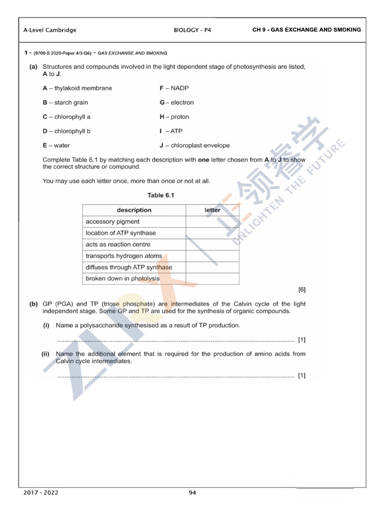 9.gas Exchange and Smoking | PDF