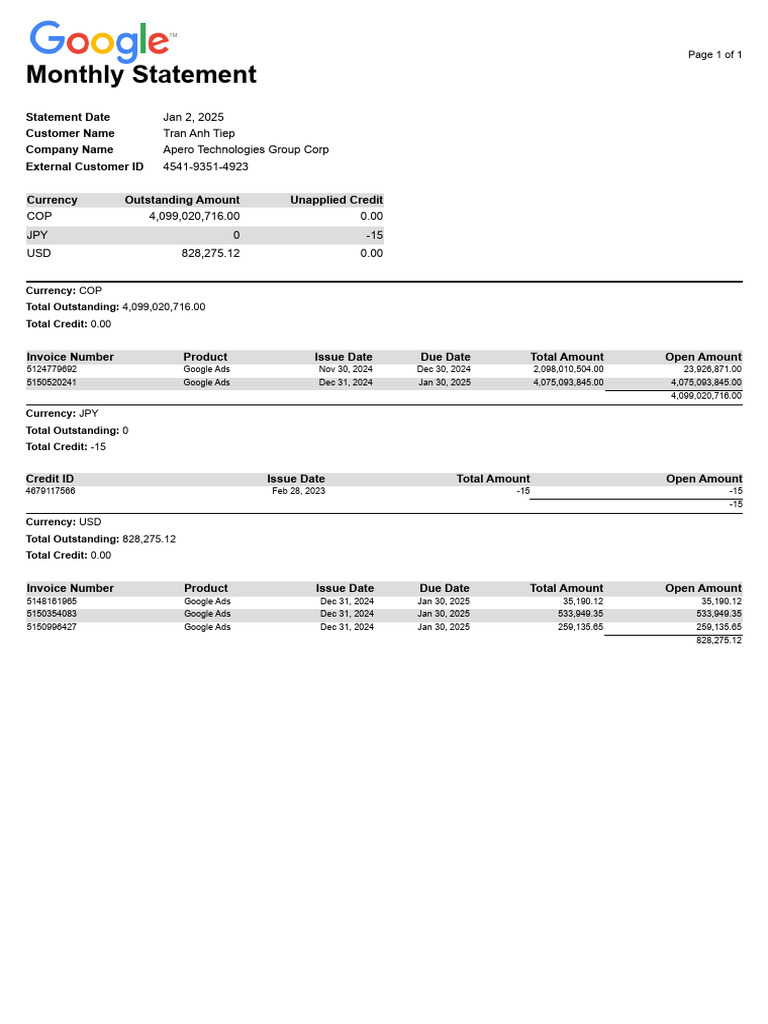 Monthly Statement: Jan 2, 2025 Tran Anh Tiep Apero Technologies Group ...