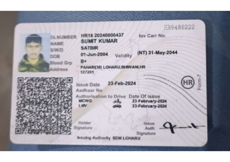 Driving Licence | PDF