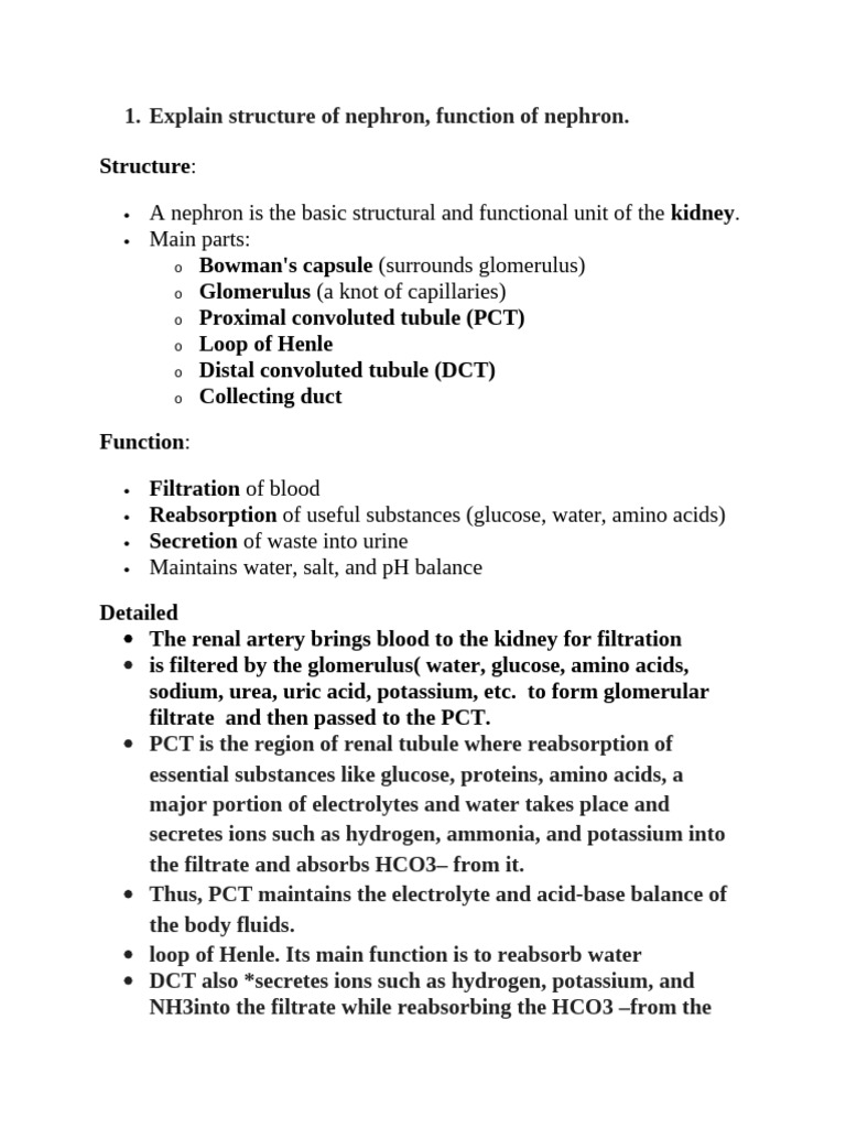 Nephron Structure and Function Explained | PDF | Kidney | Anatomy