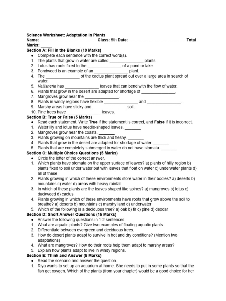 Worksheet - Adaptation in Plants | PDF | Trees | Mangrove