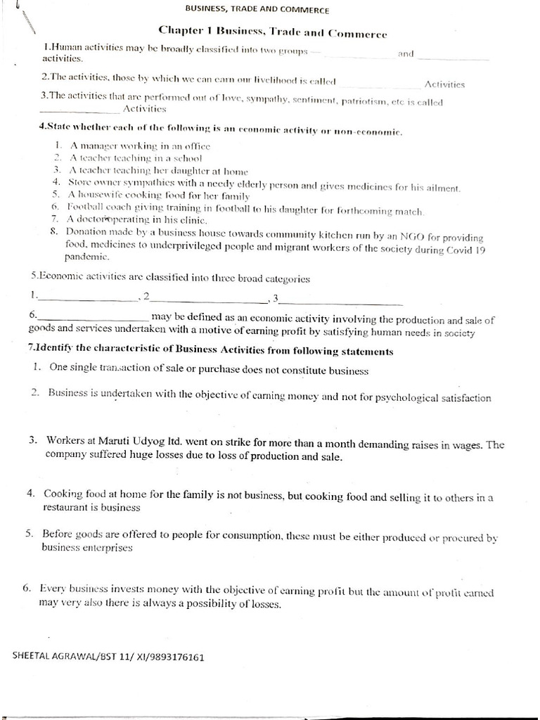 Business Trade and Commerce Worksheet | PDF