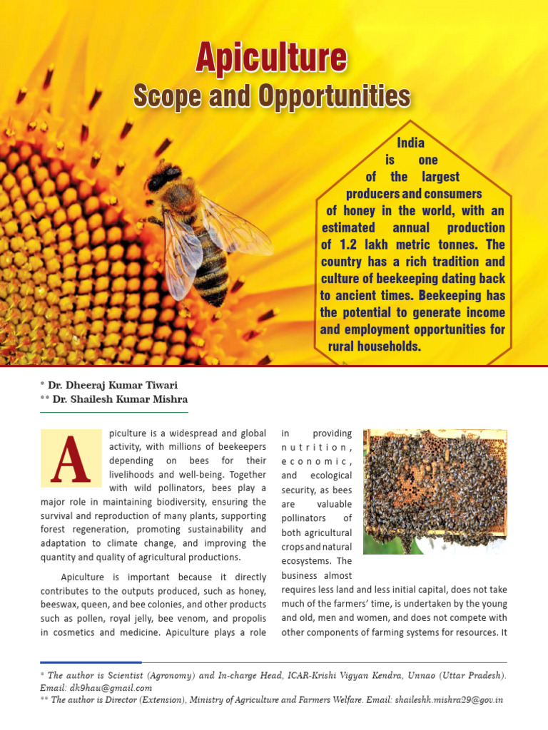 India's Honey Production and Beekeeping | PDF | Honey Bee | Beekeeping