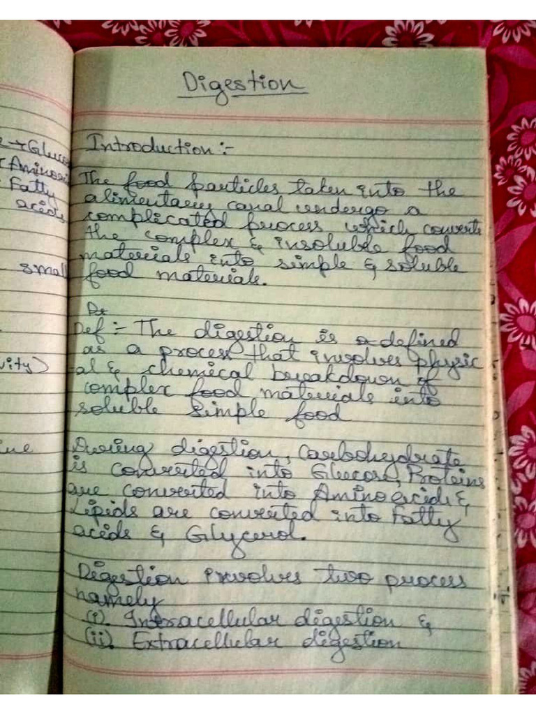 Digestion | PDF