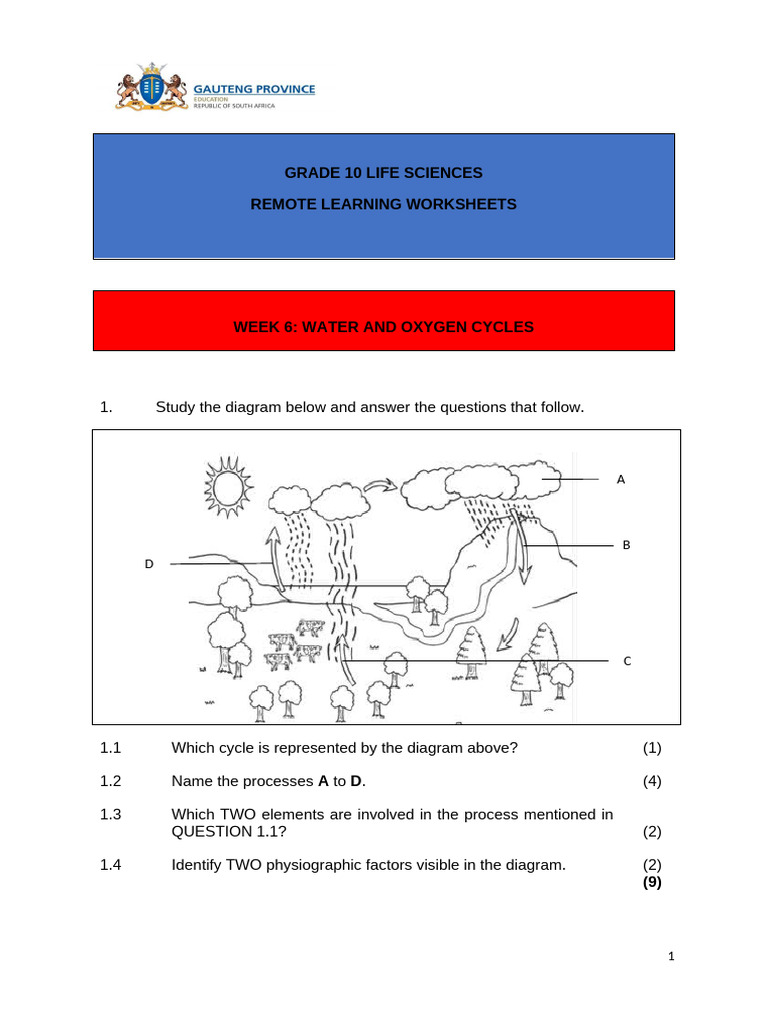 GRADE 10 LIFE SCIENCES Remote Learning Worksheets Week 6 | PDF