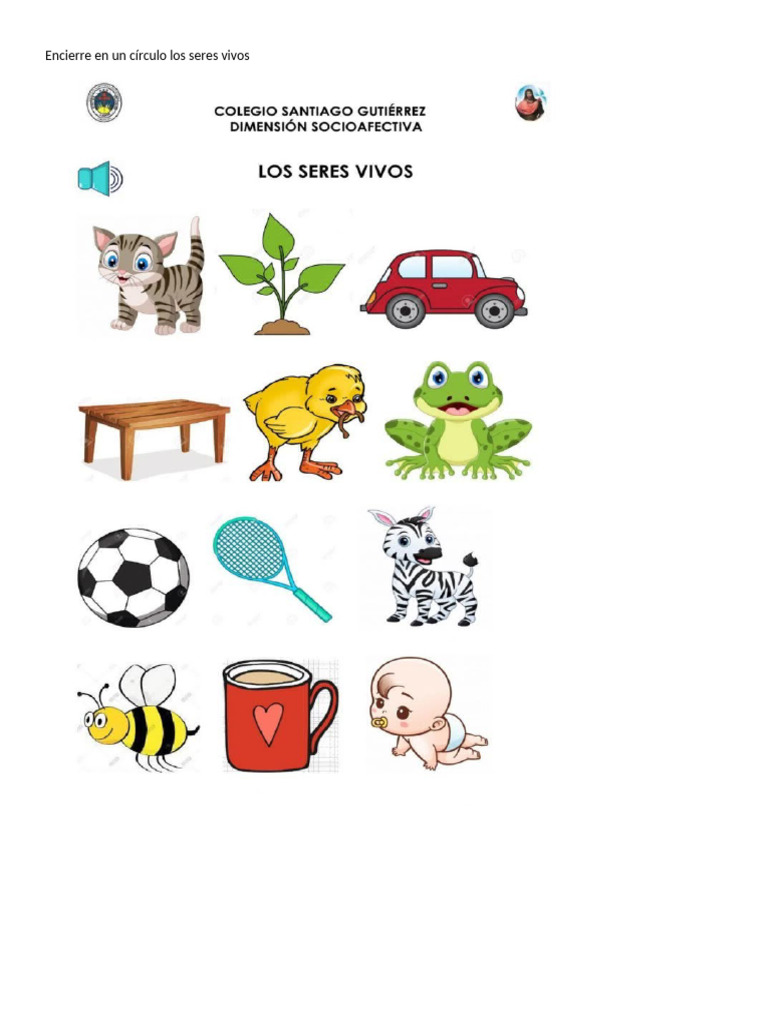 Practica de Ciencias | PDF