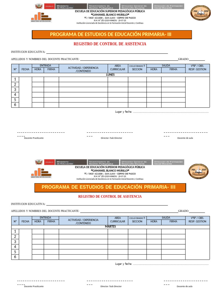 Control de Asistencia 2025-Educ - Primaria | PDF | Maestros | Enseñando