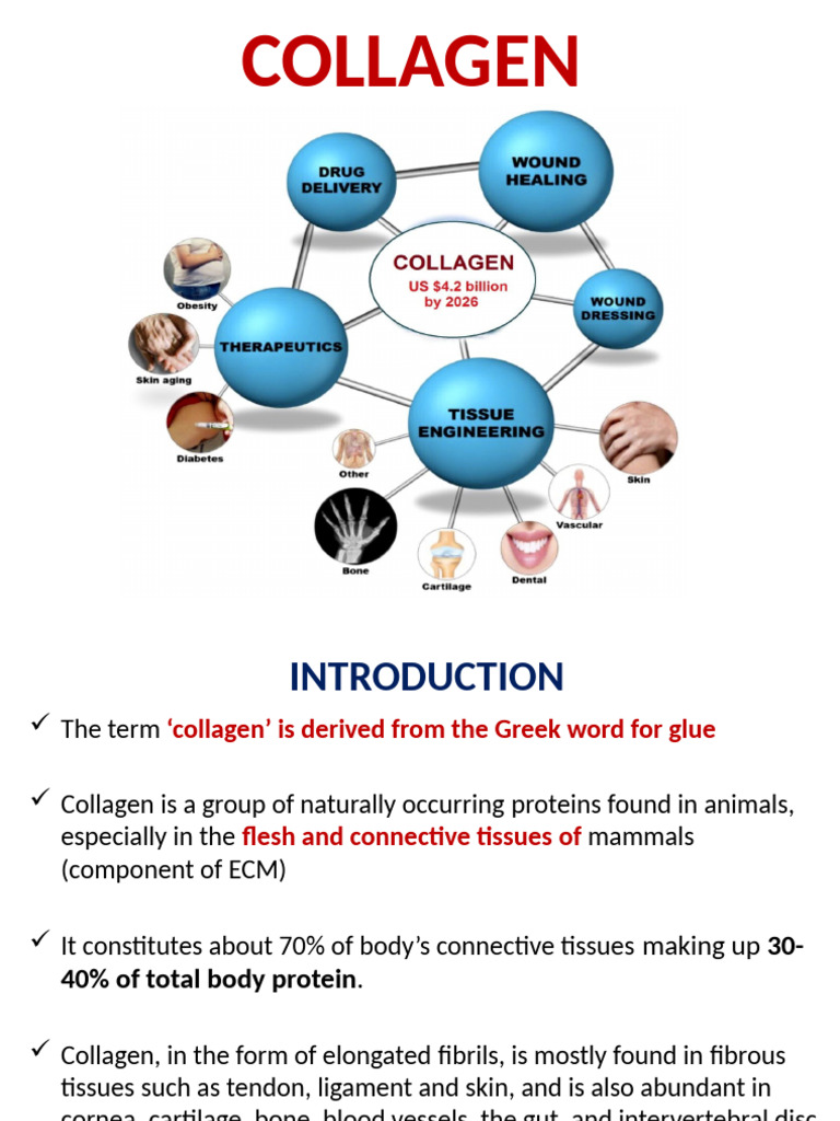 Overview of Collagen Structure and Types | PDF | Collagen | Alpha Helix