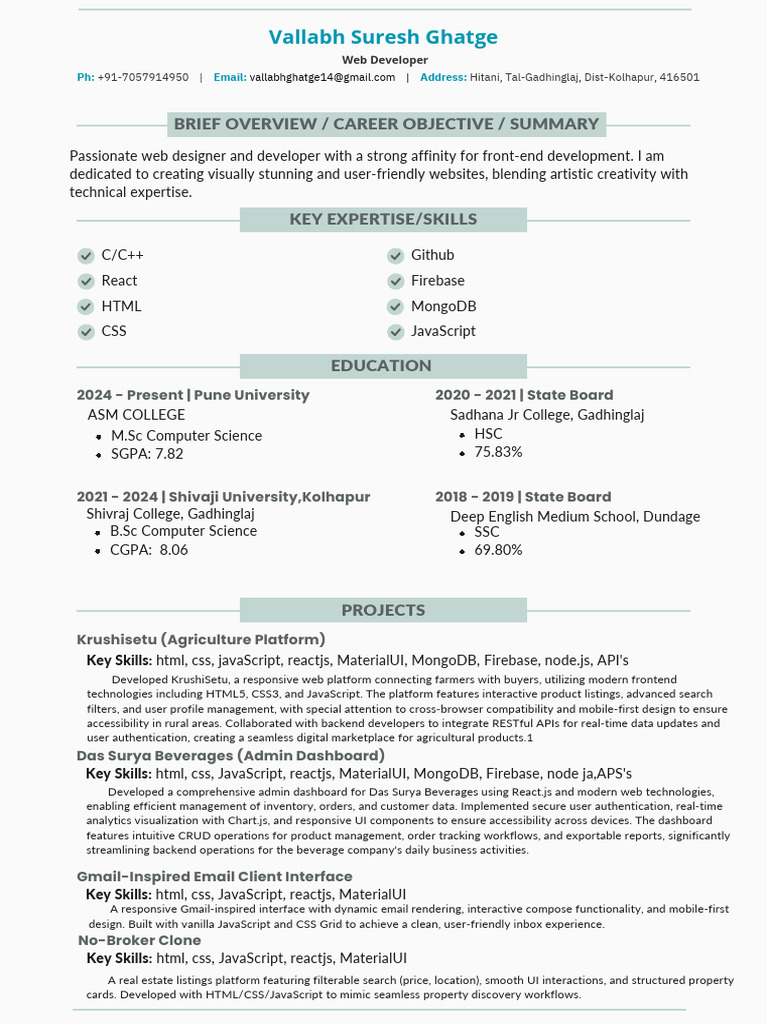 Gray Green Neutral Minimalist Corporate Professional Web Developer ...