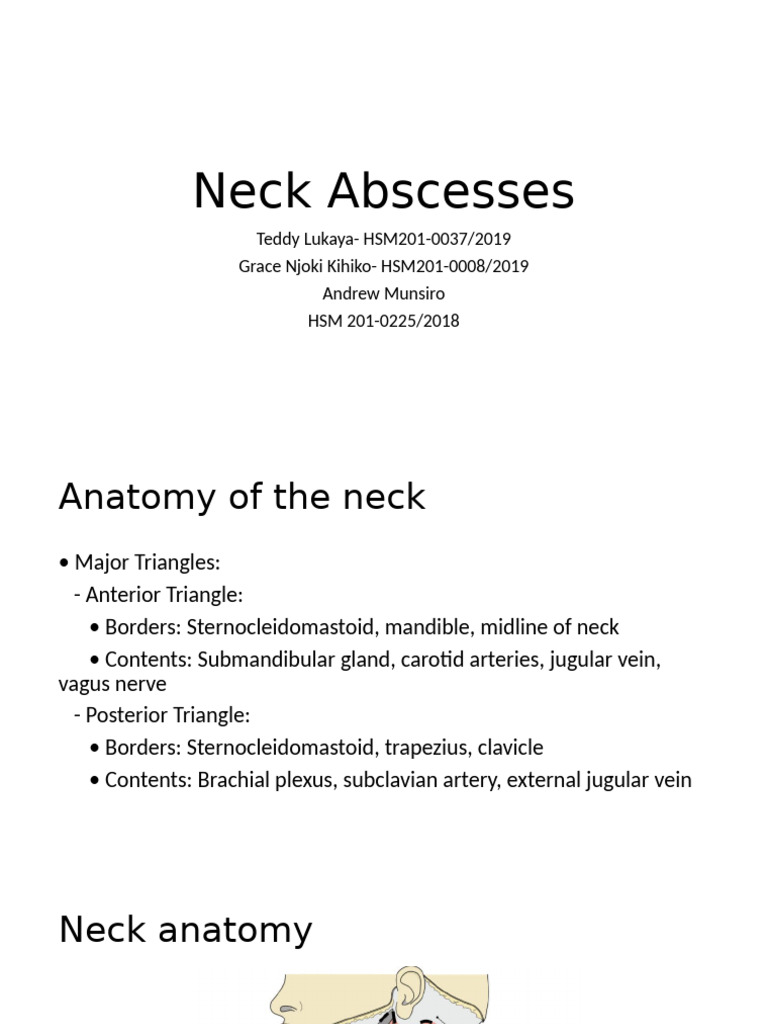 Neck Abscesses 1009 | PDF | Neck | Common Carotid Artery