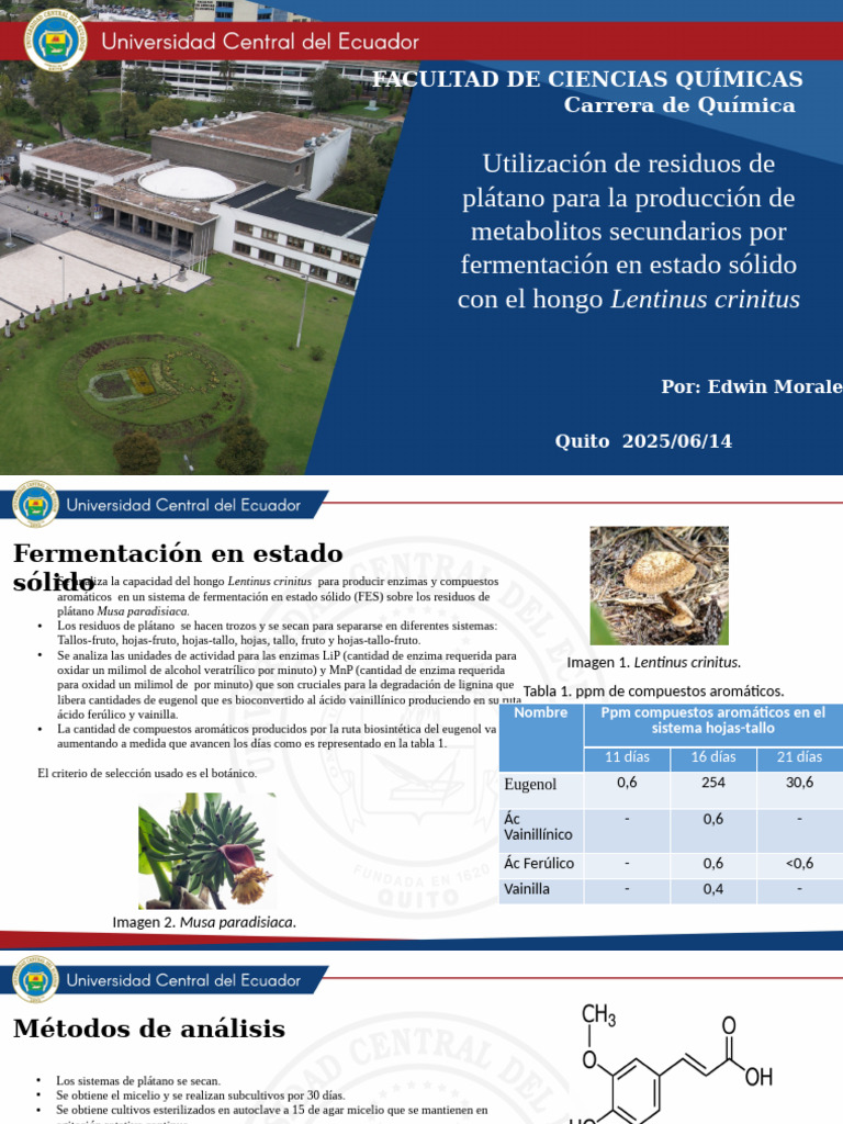 Deber Farmacoergasia | PDF | Fermentación | Biología