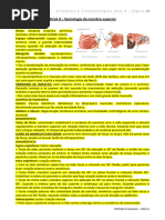 Testes Avaliativos de Mmss (Teste de Patte, Gerber) | PDF | Dor ...