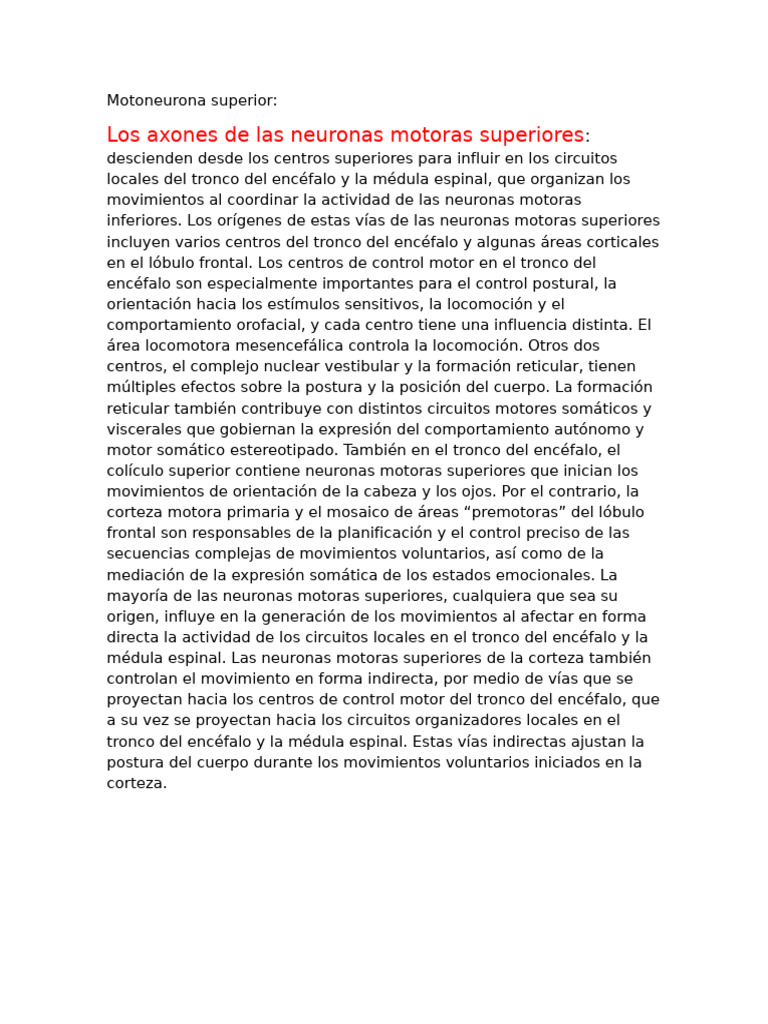 Función y Organización de Motoneuronas Superiores | PDF | Neurona ...