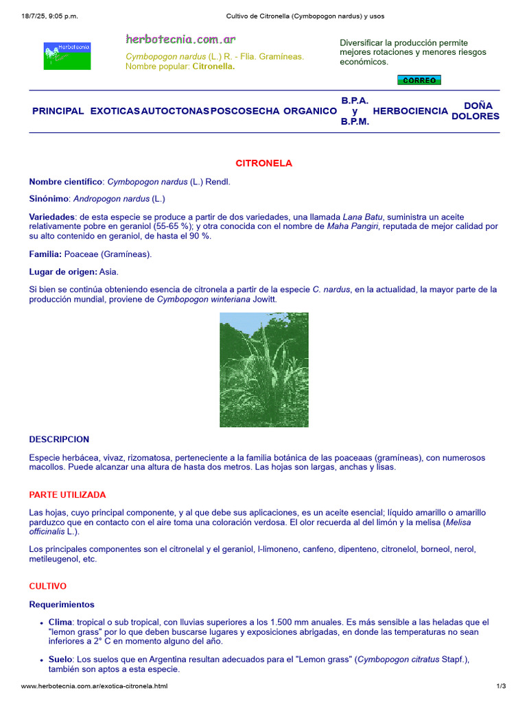 Cultivo de Citronella (Cymbopogon Nardus) y Usos | PDF