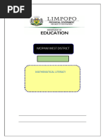Mathematical Literacy P2 Nov 2022 Eng | PDF