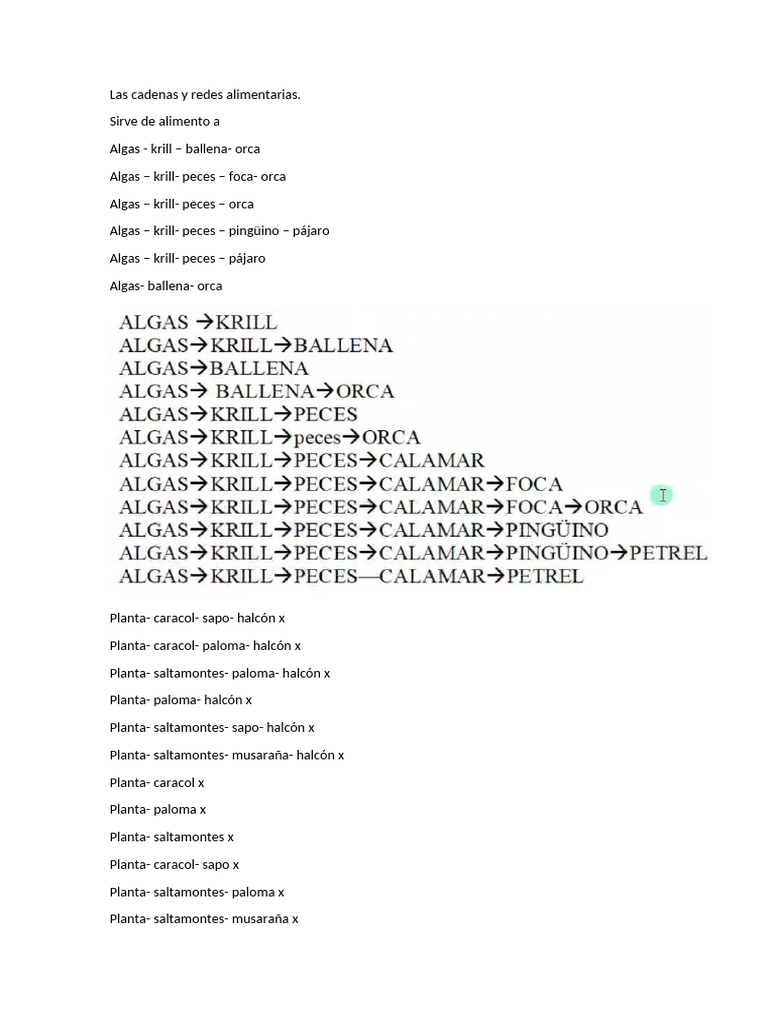 Las Cadenas y Redes Alimentarias | PDF