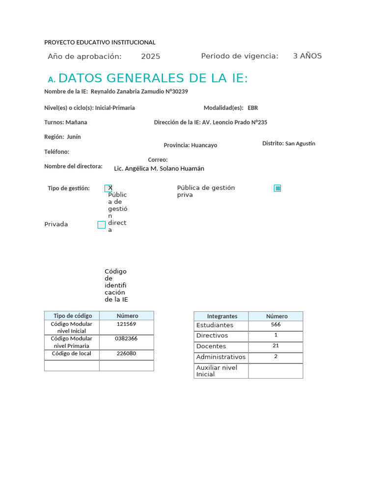 Proyecto Educativo Institucional Formato Editado Ultimo 2 | PDF | Evaluación | Aprendizaje