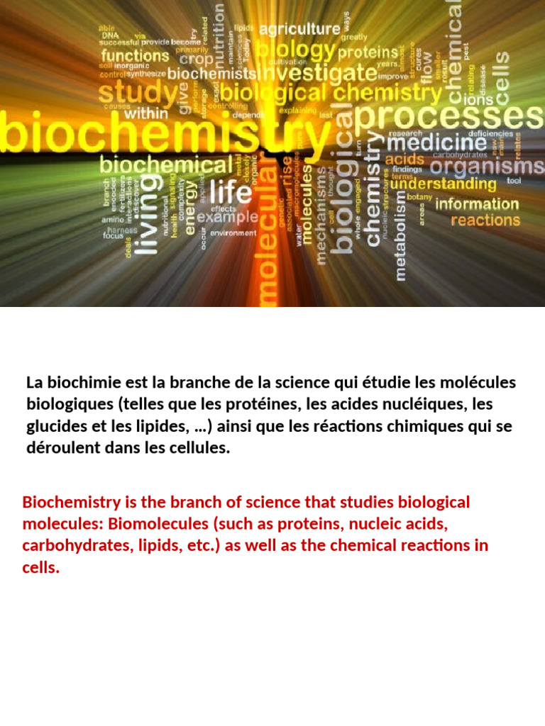 Glucides : Structure et Rôle Biologique | PDF | Amidon | Glucose