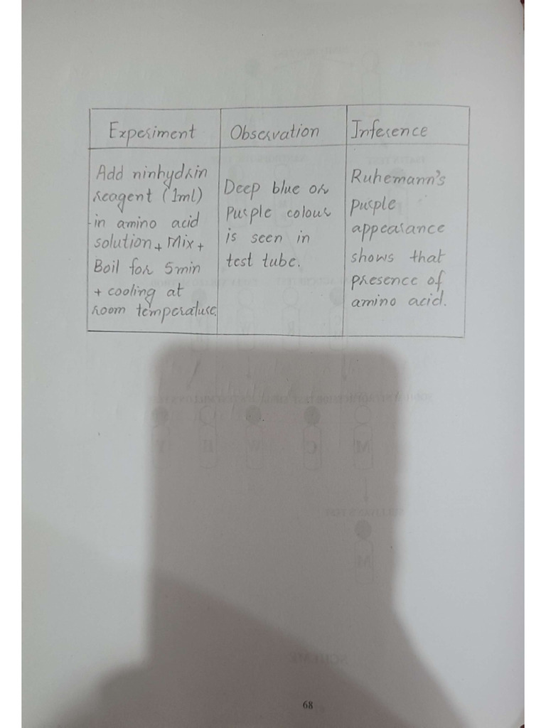 Biochem Practicals Block B | PDF