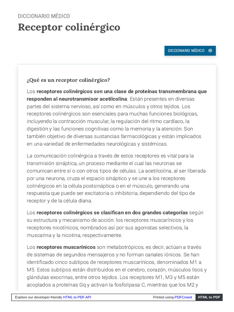 Receptores colinérgicos y su función | PDF | Sinapsis | Acetilcolina