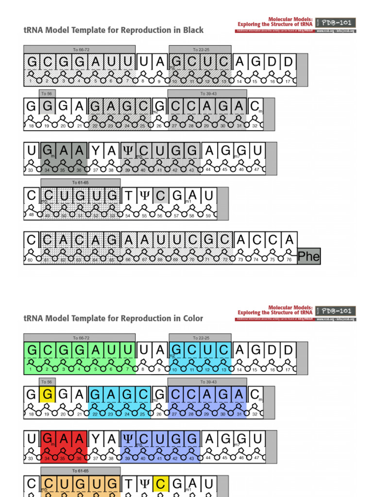 Trna Model | PDF