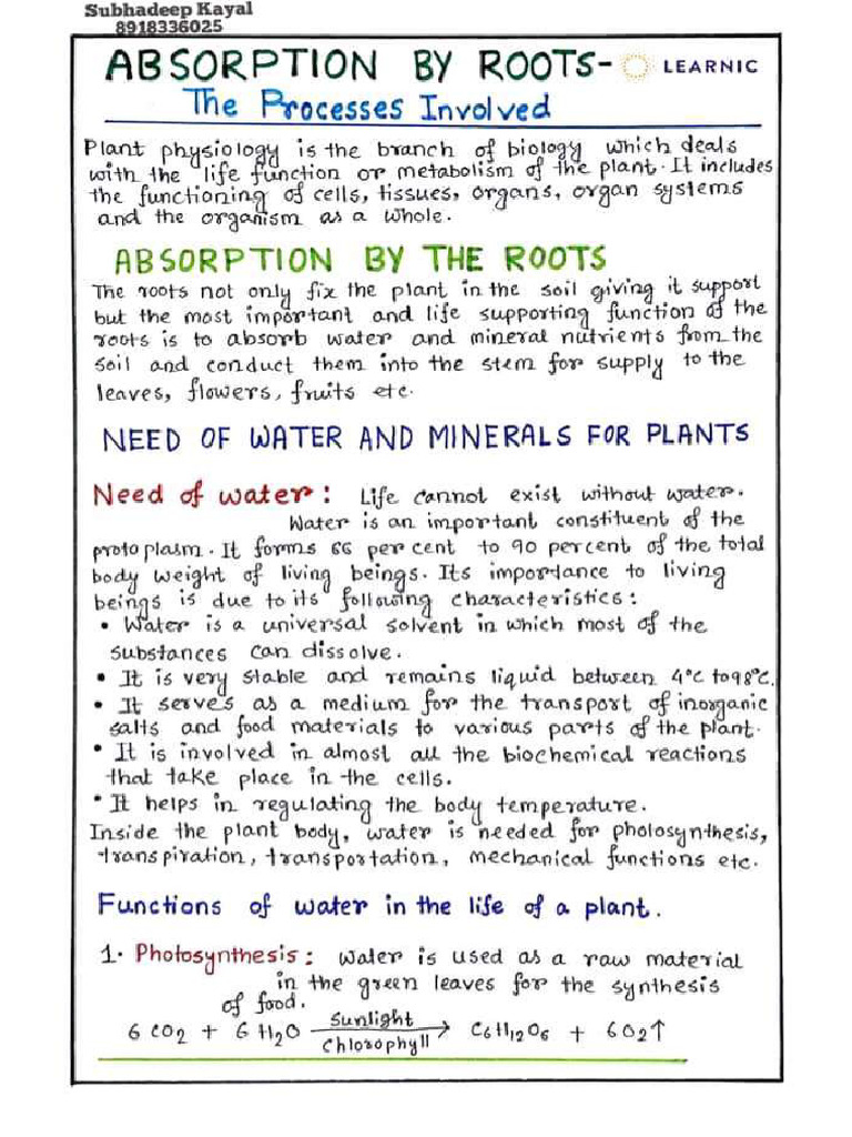 Absorption by Roots | PDF