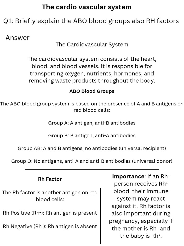 The Cardio Vascular System 20250716 223730 0000 | PDF