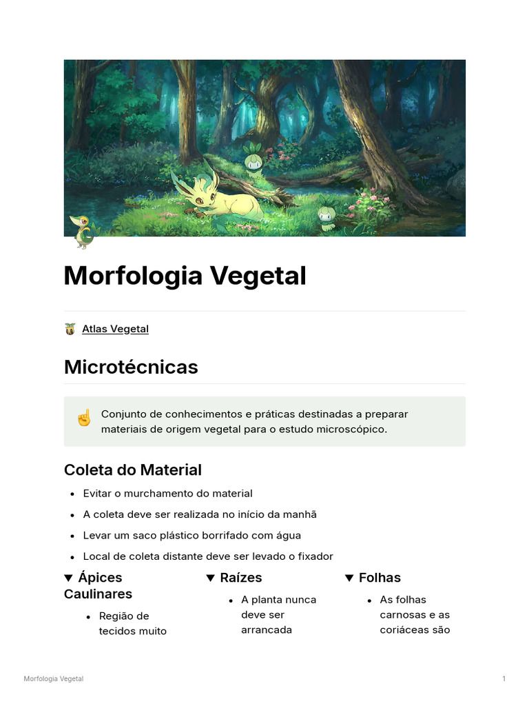 Morfologia Vegetal | PDF | Parede celular | Áreas da Botânica