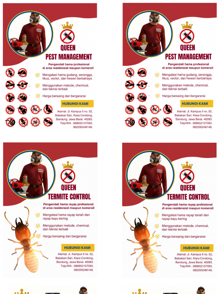 Queen's Flyer | PDF