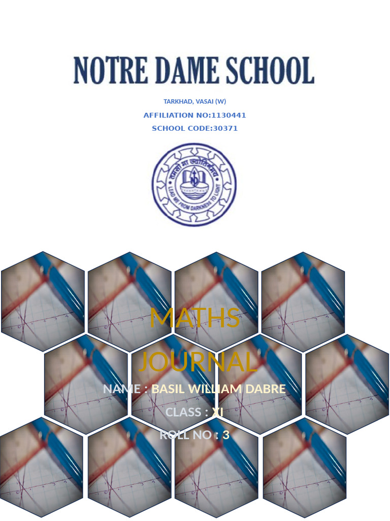 Maths Journal | PDF