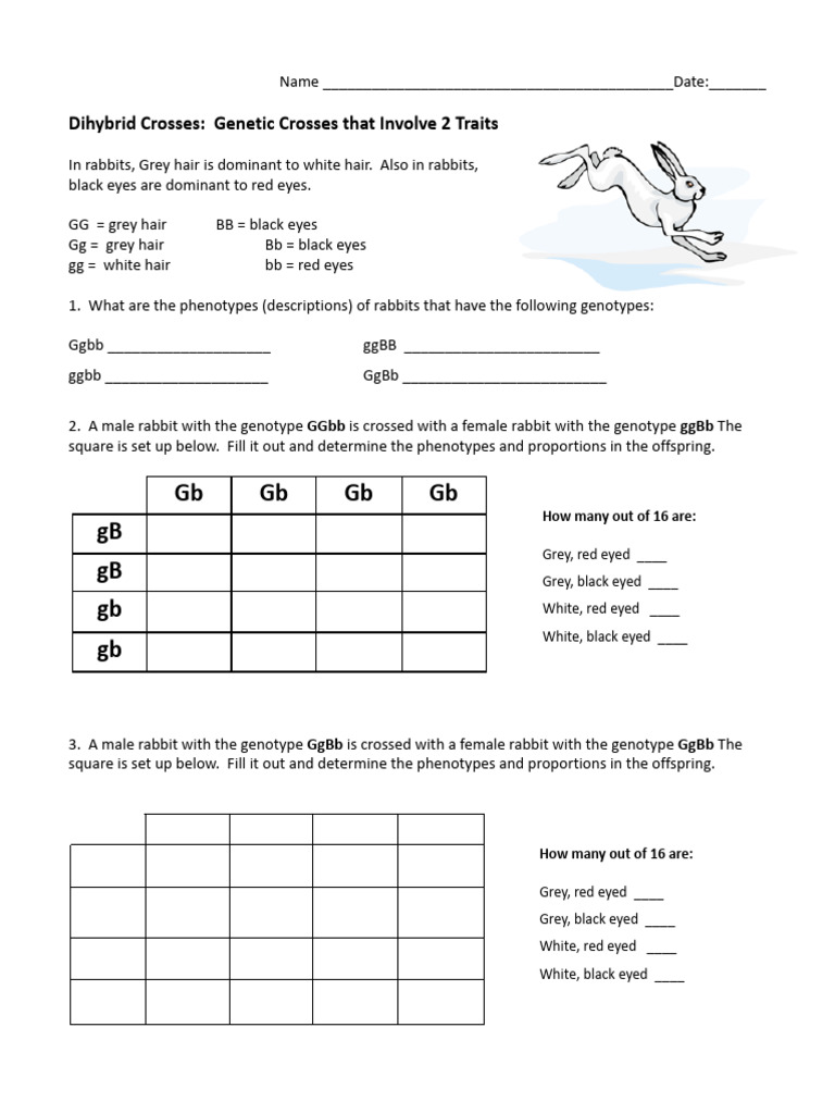 Dihybrid Cross Practice 1 | PDF | Genotype | Biology