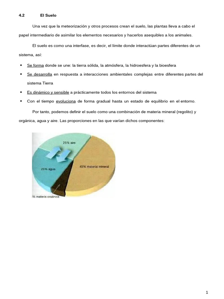 Formación y Componentes del Suelo | PDF | Suelo | Roca sedimentaria