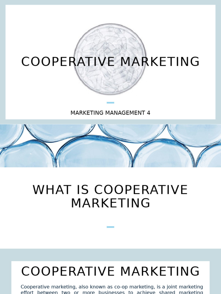 SEO in Cooperative Marketing Strategies | PDF | Marketing | Brand