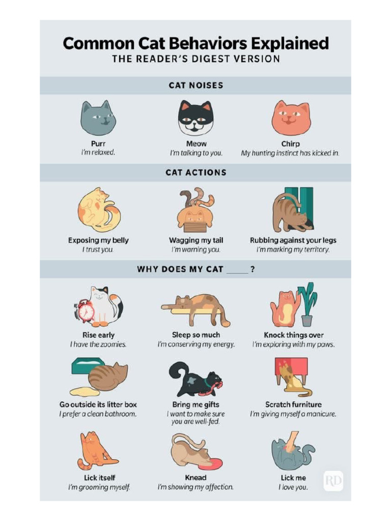 Cat Behaviors | PDF