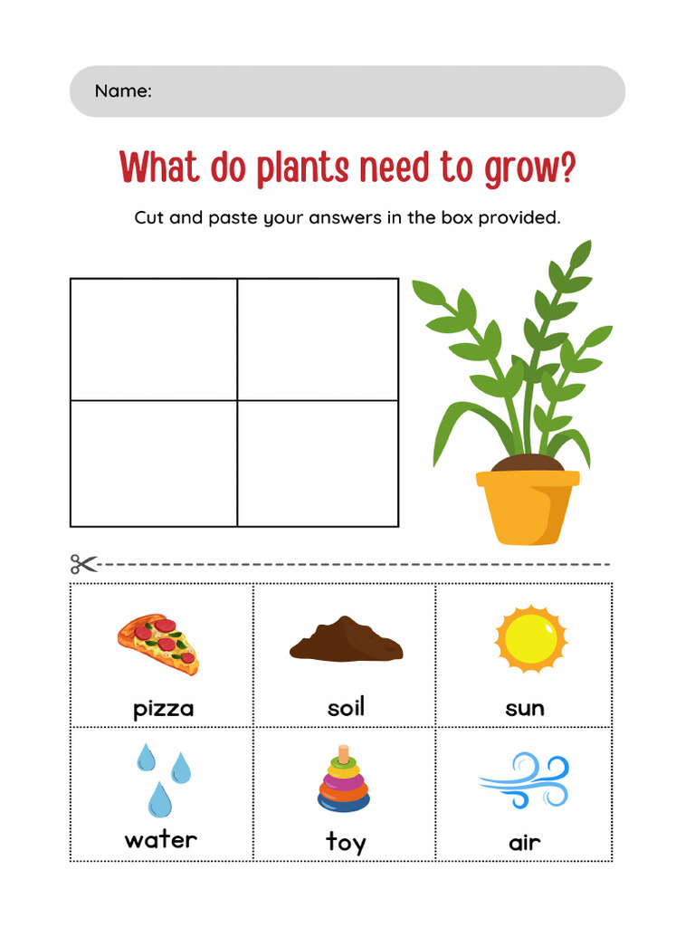 Colorful Fun What Do Plant Needs Science Worksheet | PDF