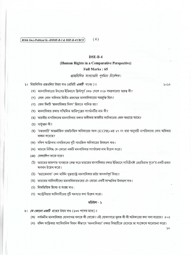 Political Science Honours DSE B 4 6th Semester 2024 | PDF