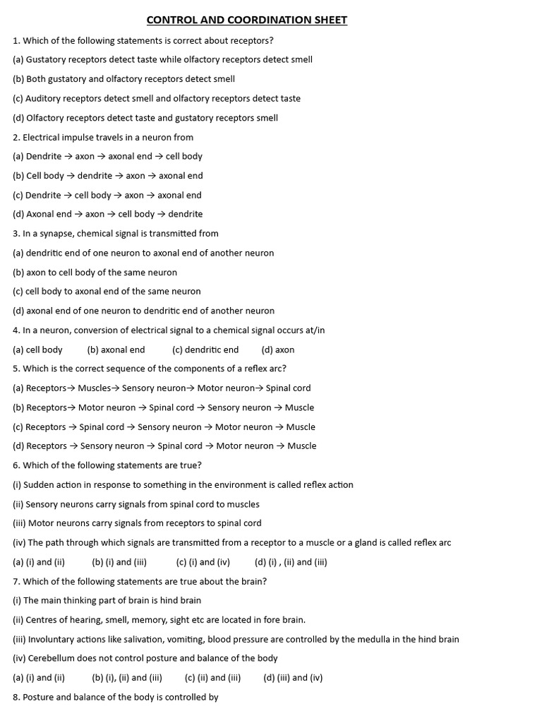 Control and Coordination Sheet | PDF | Neuron | Endocrine System