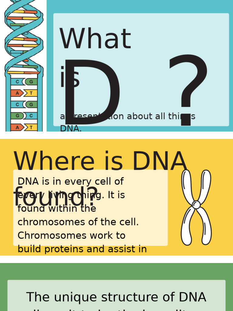DNA Biology Science Education Presentation in Blue Orange Illustrated ...