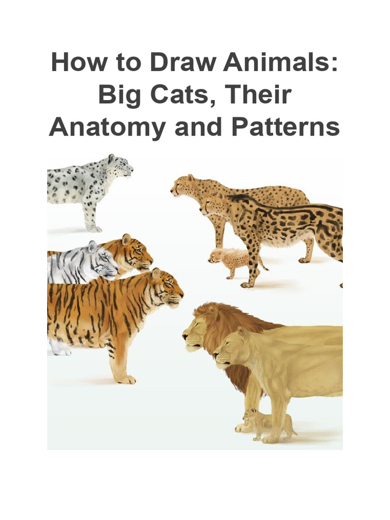 How To Draw Animals | PDF | Lion | Tiger
