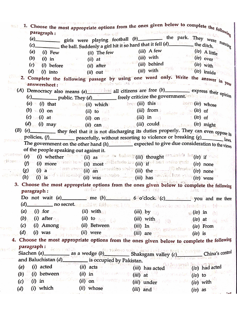 Integrated Grammar Practice Questions | PDF