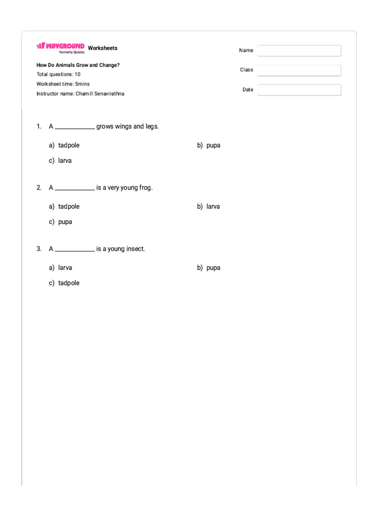 Animal Growth and Life Cycle Worksheets | PDF