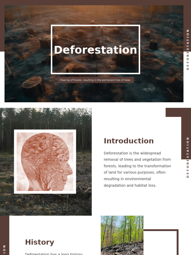 703588-Deforestation PowerPoint Templates | PDF | Deforestation ...