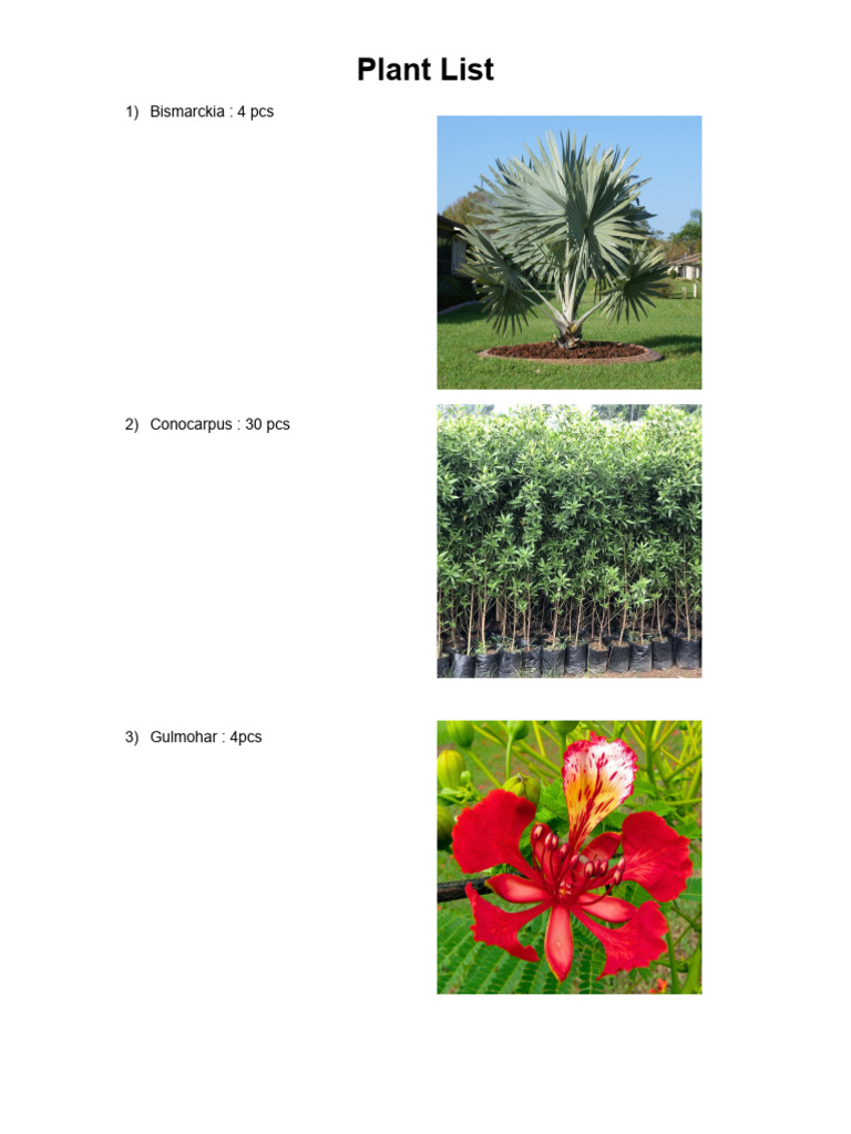 Plant List | PDF