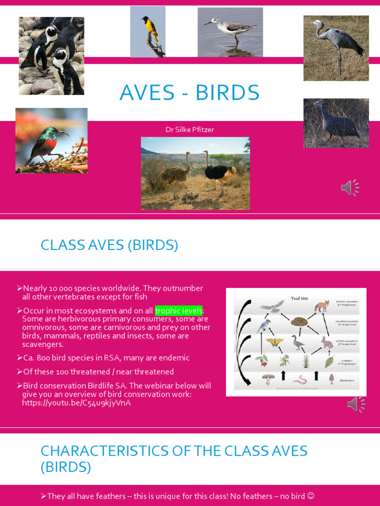 Salient Features of Class Aves | PDF | Birds | Bird Migration