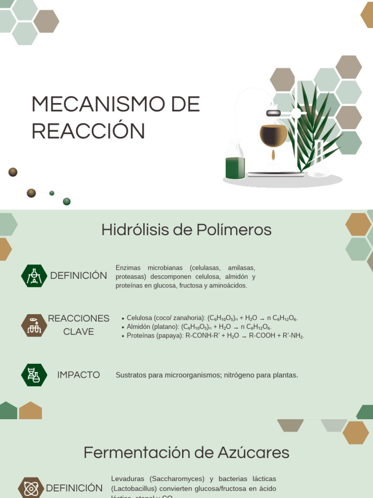 Biochemistry and Biomolecules - Science - 9th Grade by Slidesgo - PPT ...