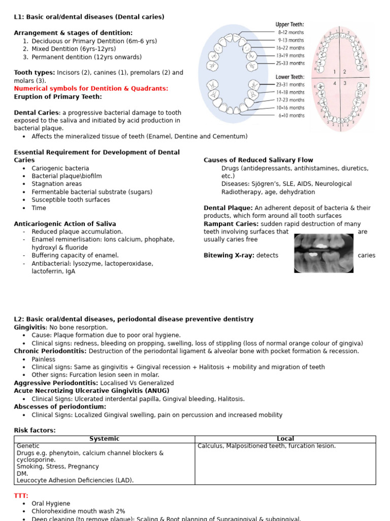 Oral Review | PDF | Human Tooth | Medical Specialties
